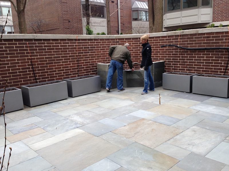 Euphoria - Chicago Landscaping Project - Before - Botanical Concepts ...