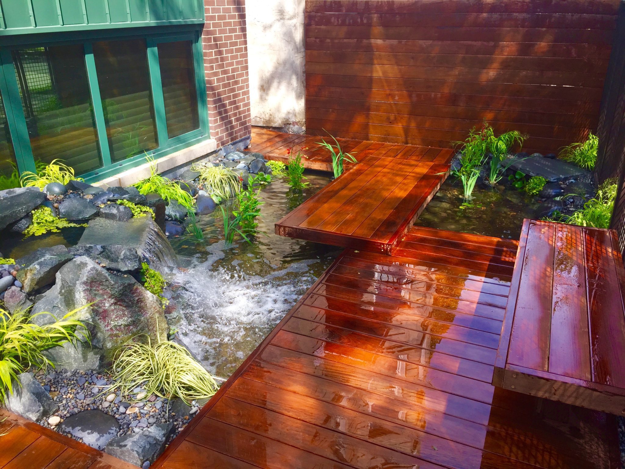 Urban Ponds In Chicago Landscapes - Botanical Concepts Chicago